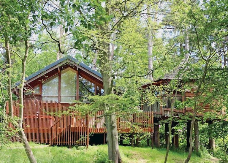 Keldy Forest Review - Our Family Lodge Holiday