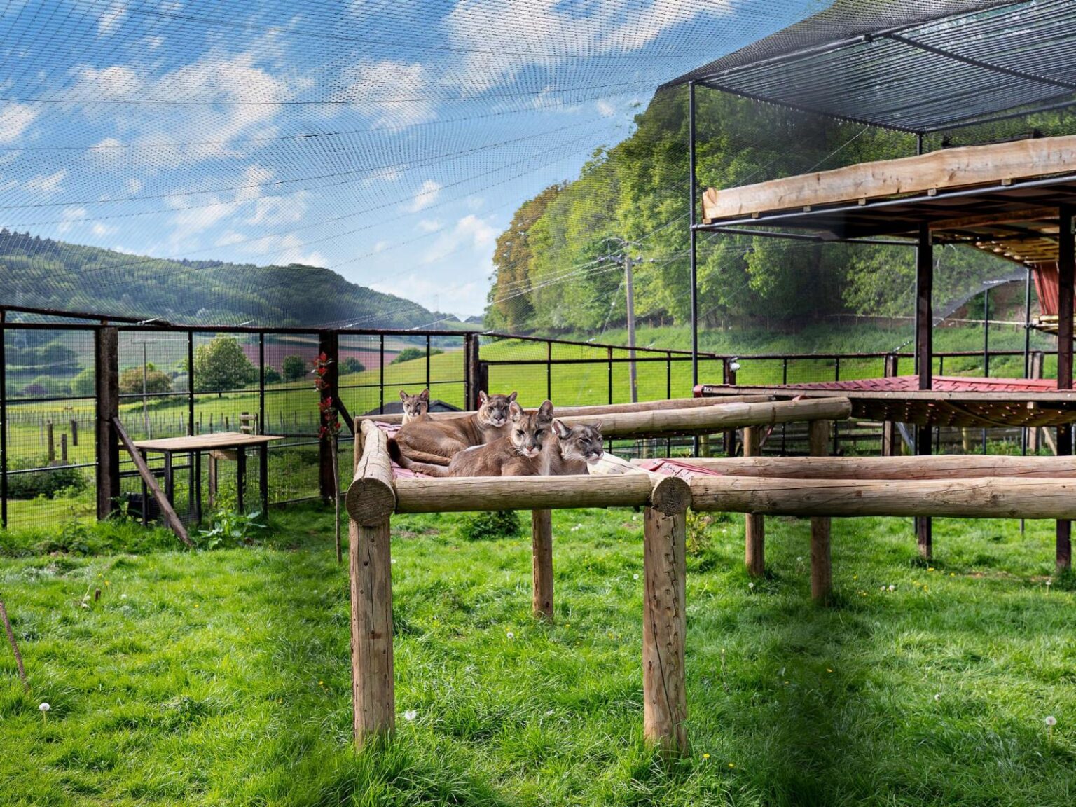Exotic Animal Retreat - Forest of Dean - Lodges With Hot Tubs