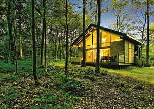 Keldy Forest - Yorkshire - Lodges With Hot Tubs